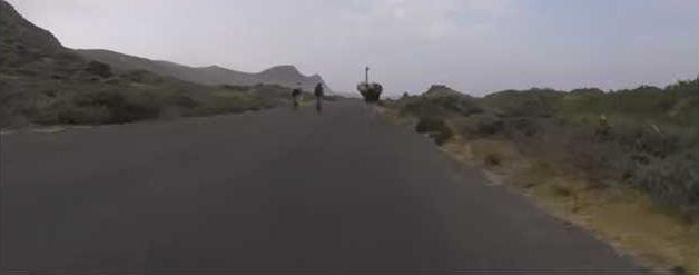 Viral video shows hilarious, high-speed ostrich chase - GREAT BEND TRIBUNE