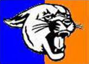 Otis-Bison Cougars play in 6-man game - Great Bend Tribune