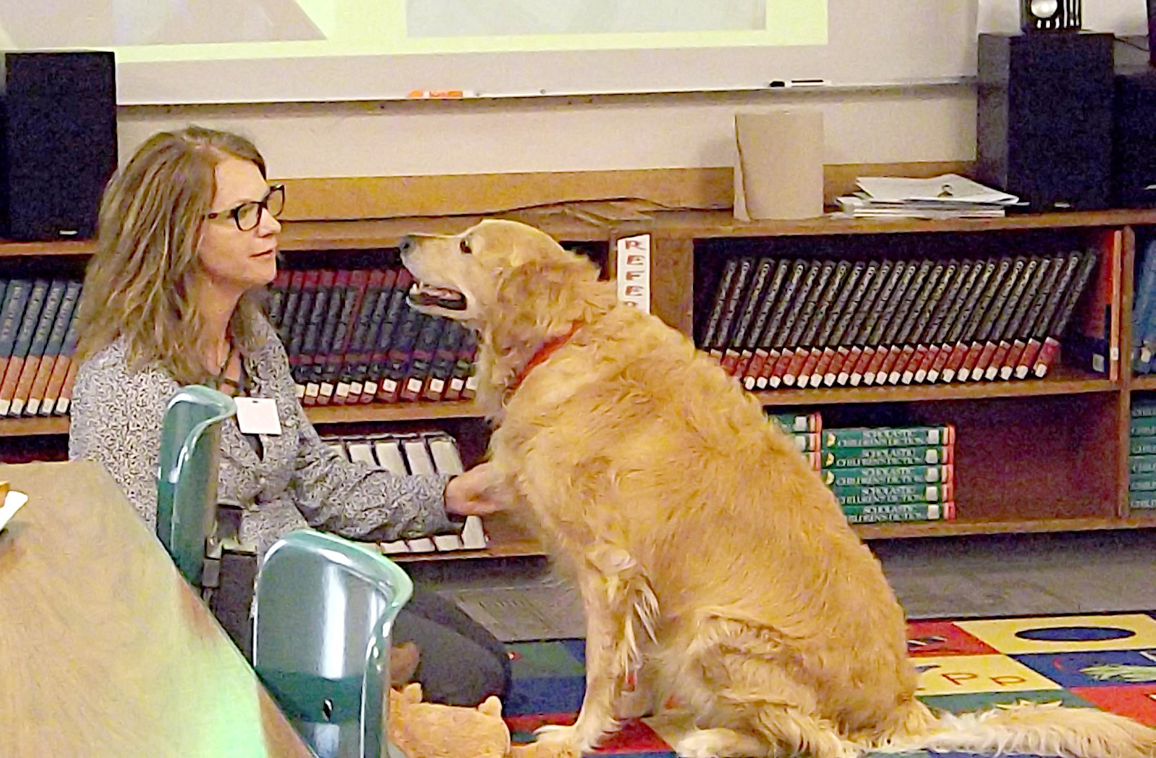 Teacher's Pet: Rudy the therapy dog is 'Mr. Popular' - Great Bend Tribune
