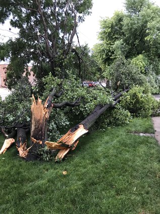 Tips on storm-damaged trees offered - Great Bend Tribune