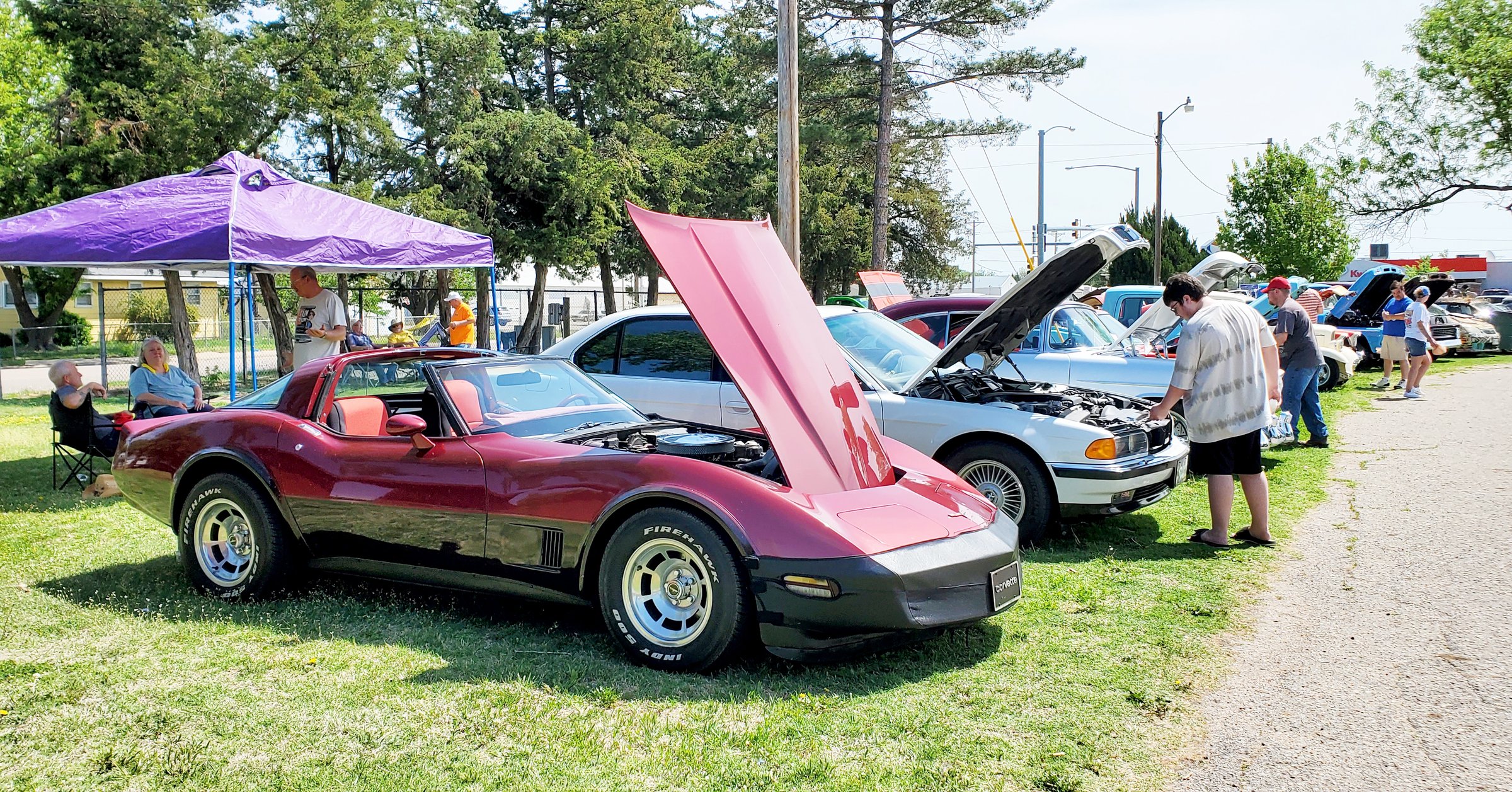 Paws and Claws Car Show - Great Bend Tribune
