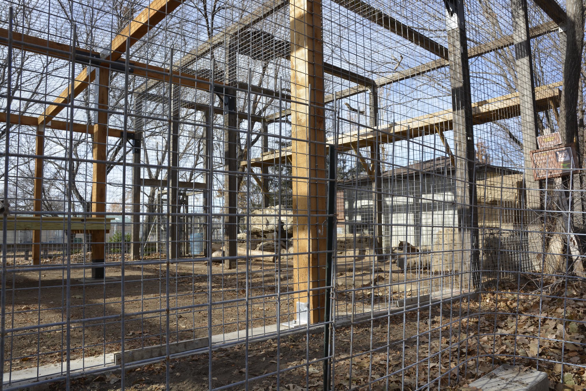 Cougar yard expanded at zoo - Great Bend Tribune