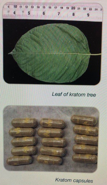 The Center’s nurse practitioner warns of kratom’s effects - Great Bend ...