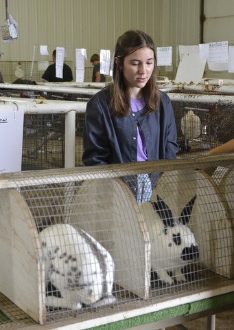 Barton County 2023 Fair is underway - Great Bend Tribune