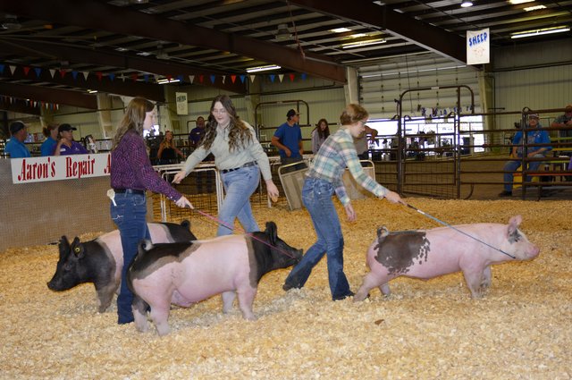 BLUE RIBBON DAYS: 2023 Barton County Fair continues - Great Bend Tribune