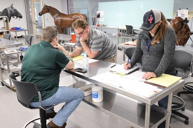 K-State vet college offers clinical lab to NBAF animal team - Great ...