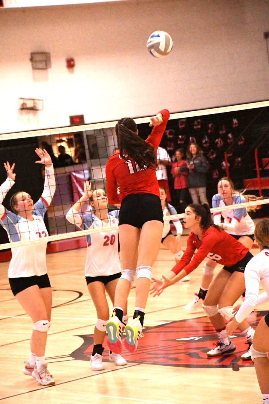 Cardinals' Simic a rising volleyball standout - Great Bend Tribune