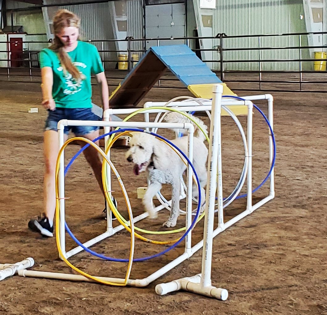 Blue Jeans & Big Dreams - Barton County Fair 2024 - Great Bend Tribune