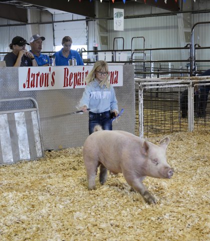 Barton County Fair: Saturday is Kids Day, Country Night - Great Bend ...