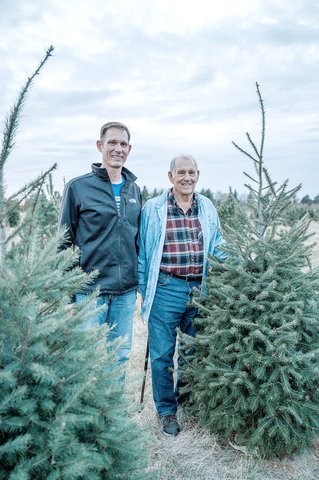 Delp Christmas Tree Farm’s evergreen journey - Great Bend Tribune
