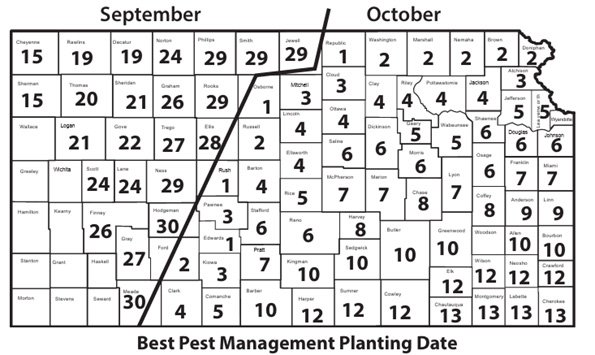 Be vigilant and continue to control volunteer wheat before planting ...