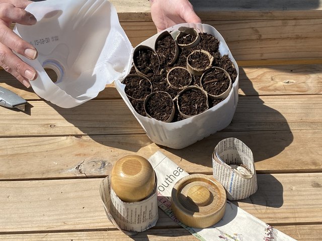 Affordable, easy winter seed starting - Great Bend Tribune