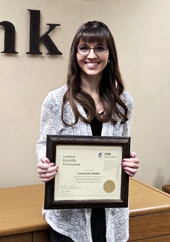 professional banking certificate